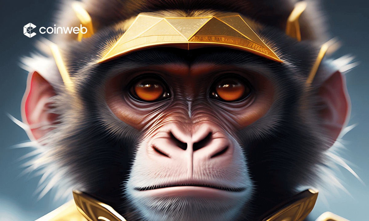 Top 8 NFT Marketplaces: Ultimate Guide to Buy and Sell NFTs