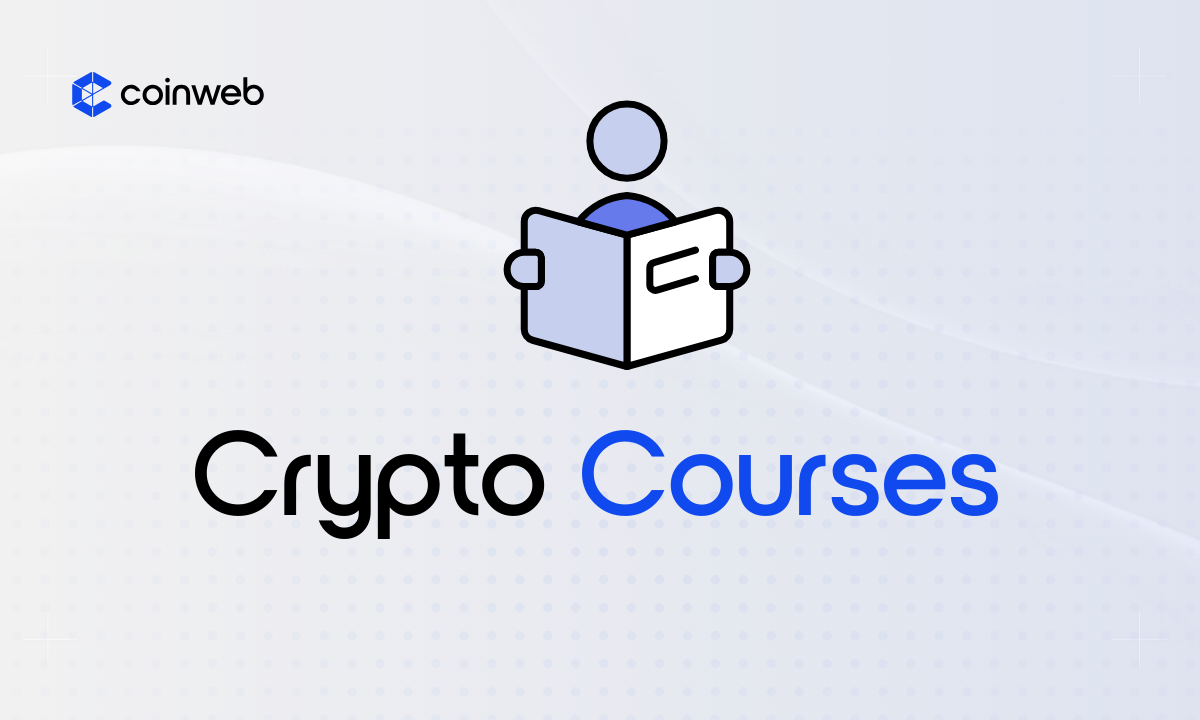 Best Crypto Courses 2024: The Ultimate Comparison