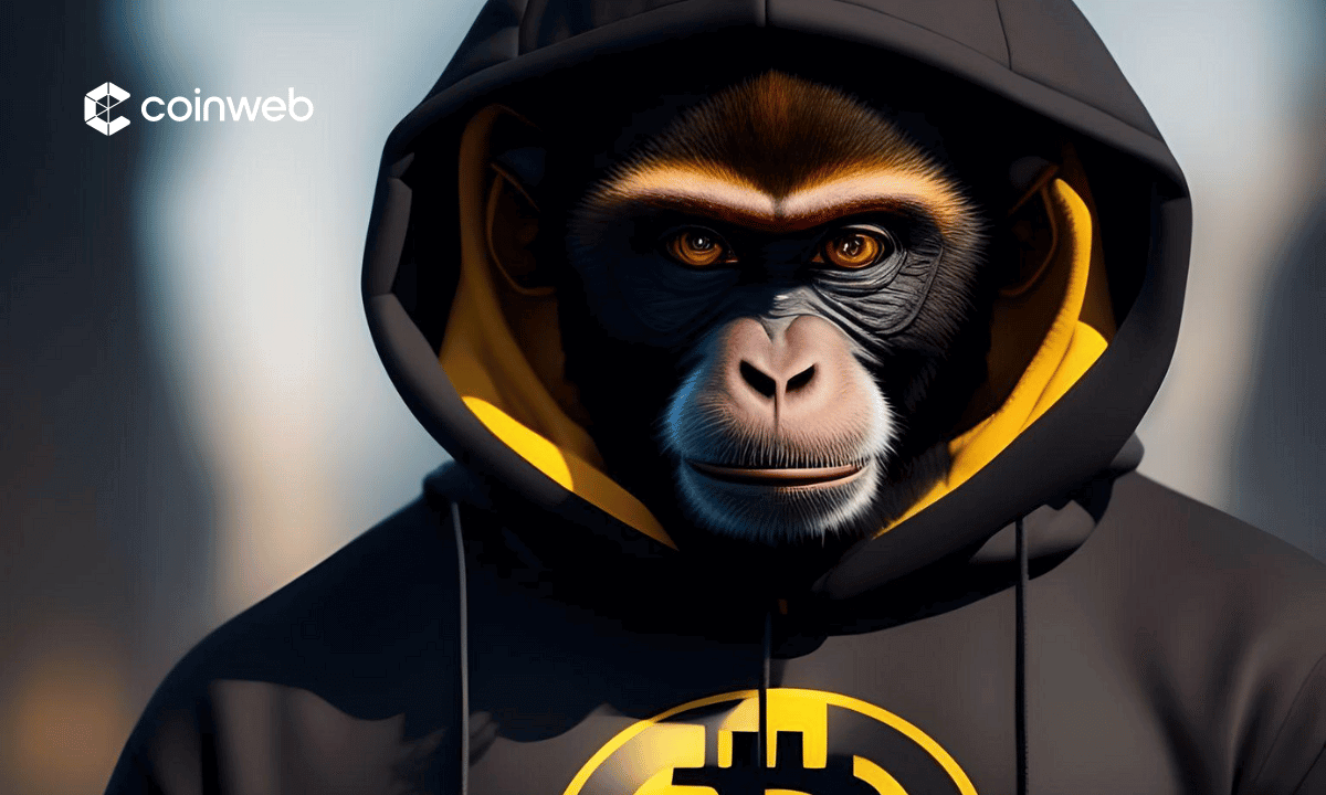 7 Best Anonymous Bitcoin Wallets In 2025 - Updated List