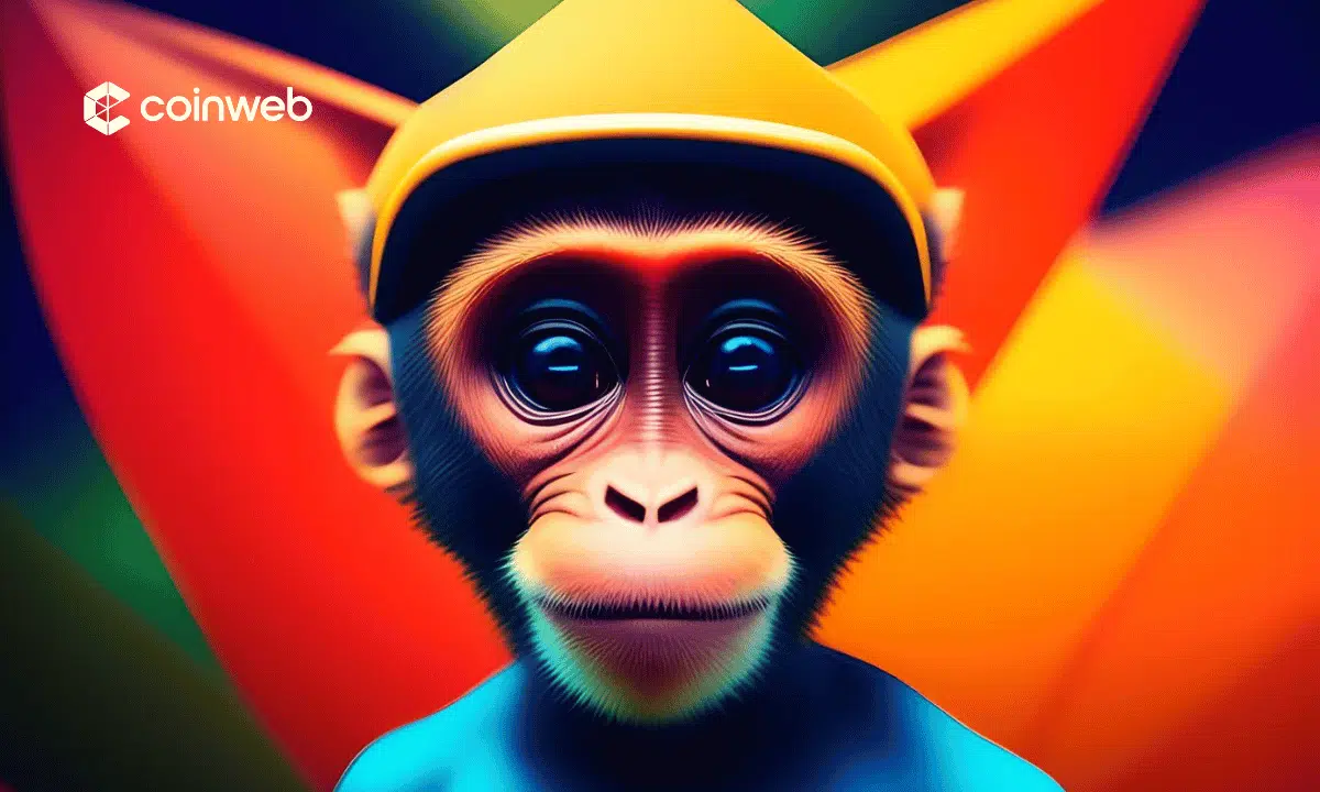 What is PFP NFT? How NFTs Shape Online User Profiles in 2025