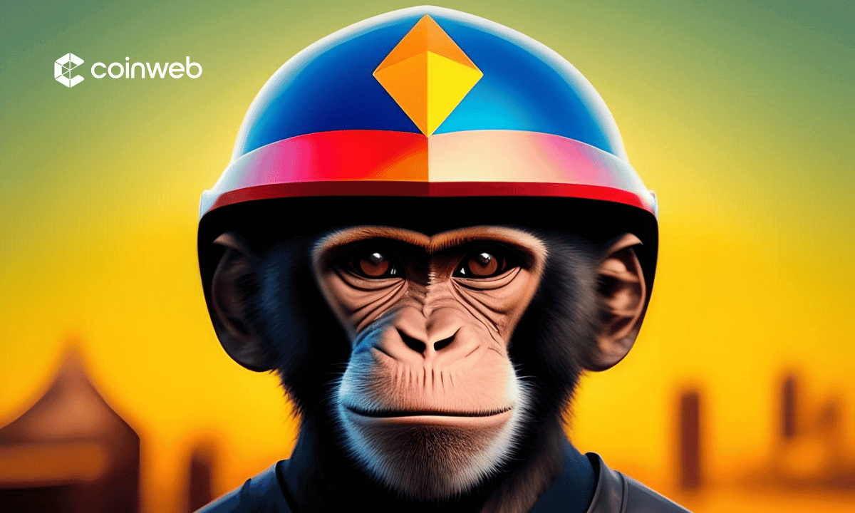 Best Nft Tools 2025 7 Must Have Resources In The Nft Space